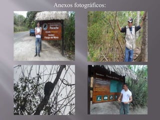 Refugio de vida silvestre marino costero pacoche | PPTX