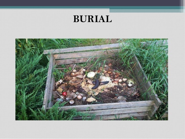 Refuse disposal system incineration