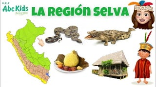 REGIÓN SELVA DEL PERÚ Y SU CONTENIDO.pptx