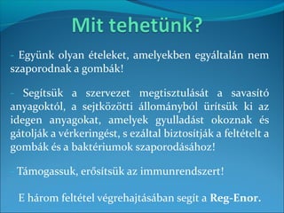 Reg-Enor bemutató | PPT