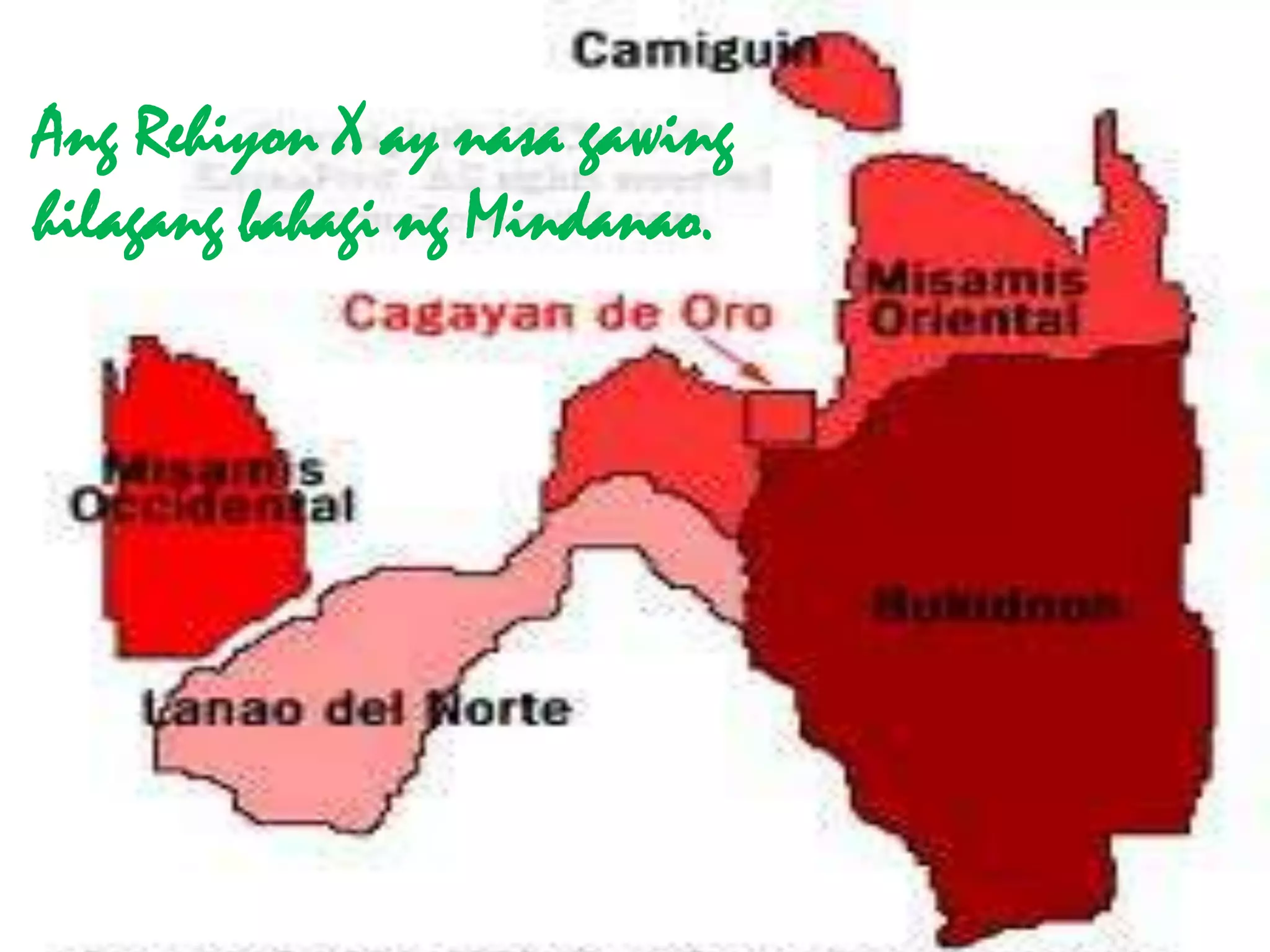 Region 10- Panitikan, Manunulat, Festivals At Iba Pang Detalye | PPTX