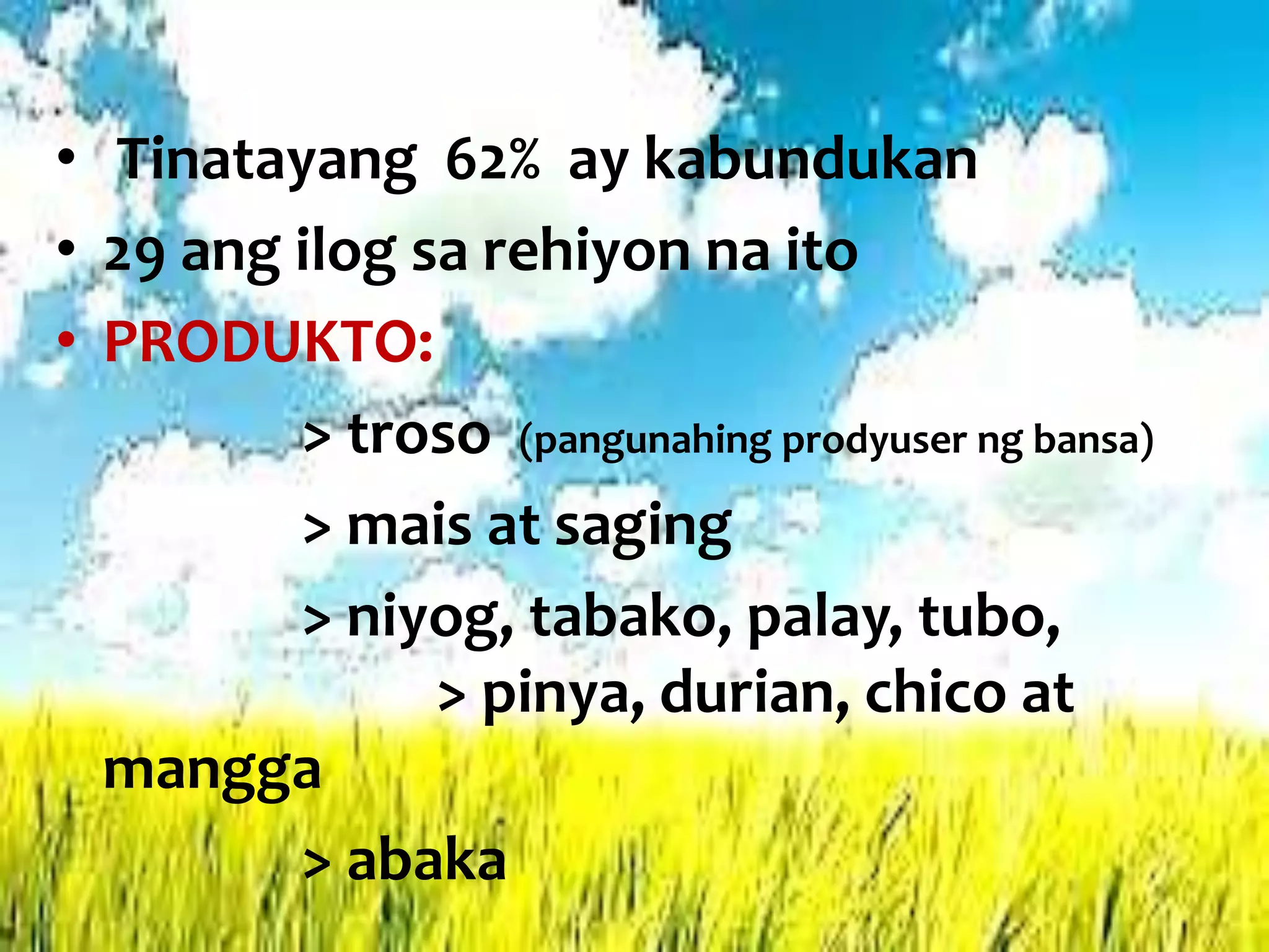 Region 10- Panitikan, Manunulat, Festivals At Iba Pang Detalye | PPTX