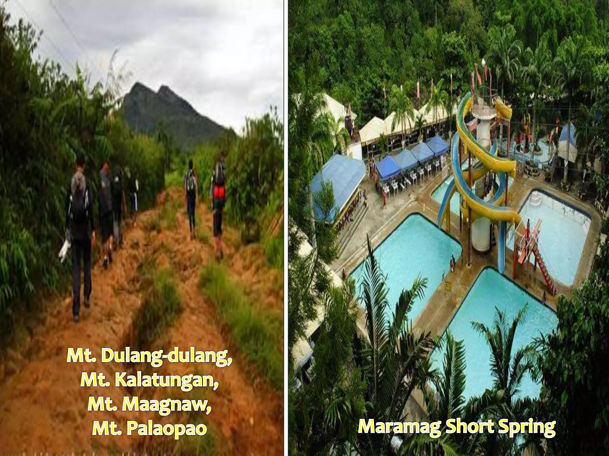 Region 10- Panitikan, Manunulat, Festivals At Iba Pang Detalye | PPTX