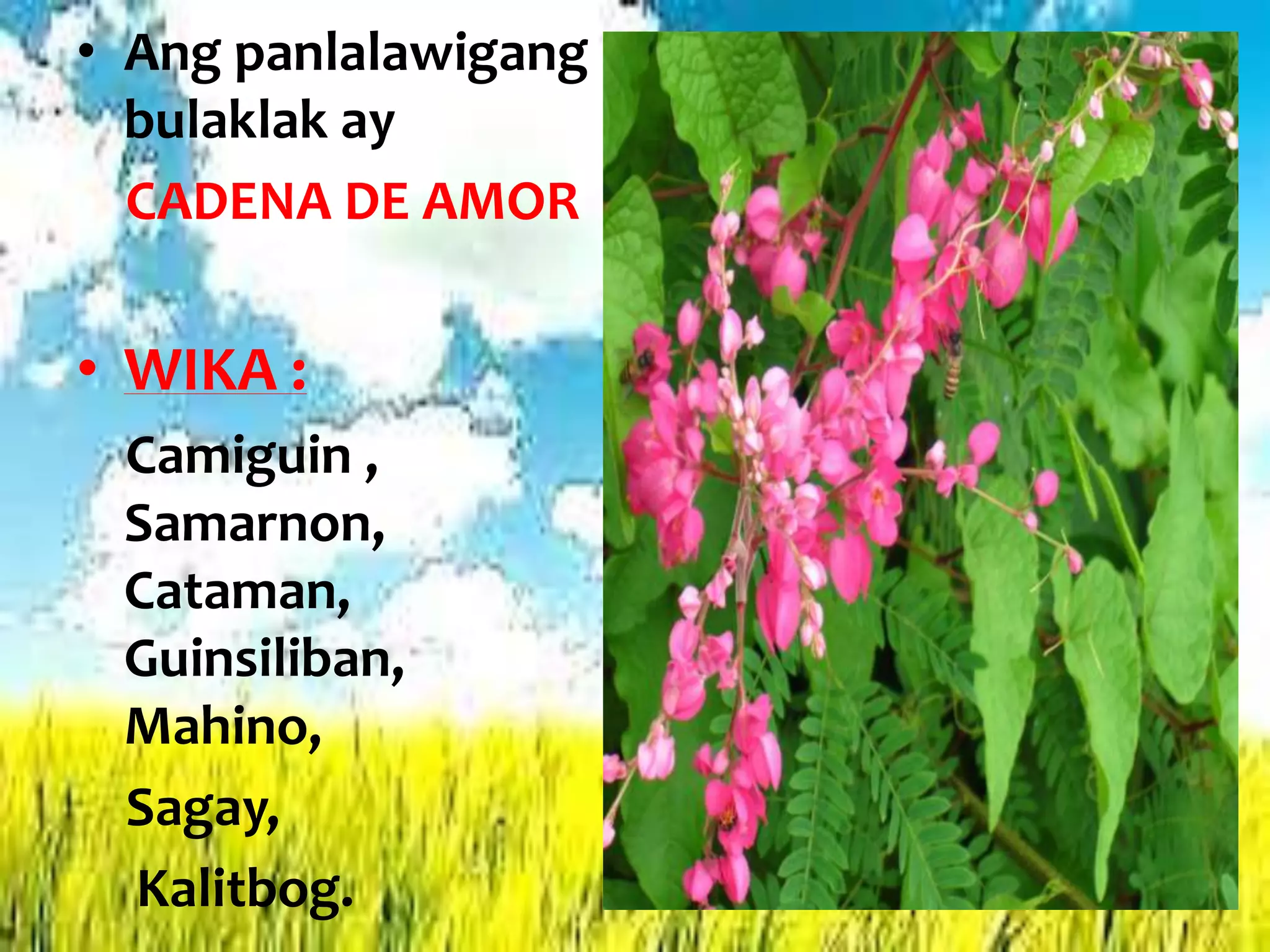 Region 10- Panitikan, Manunulat, Festivals At Iba Pang Detalye | PPTX