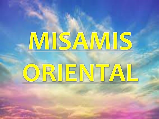 Region 10- Panitikan, Manunulat, Festivals At Iba Pang Detalye | PPTX