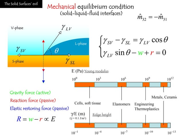 Regarding the Young equation | PPT
