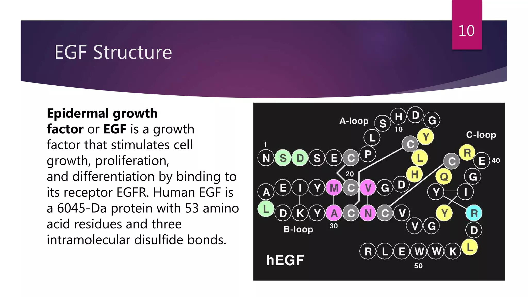 Epidermal Growth Factor use in Diabetic Foot Ulcers | PPT