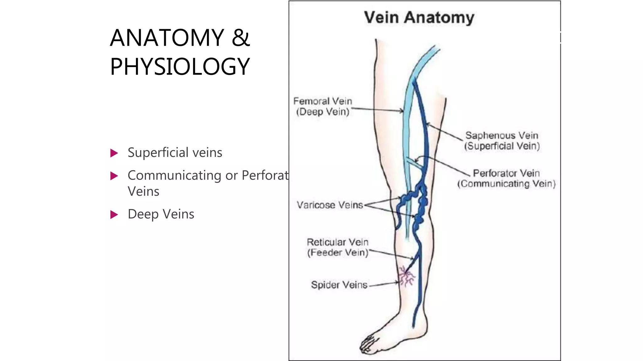 Epidermal Growth Factor use in Venous Leg Ulcers, Pressure Ulcers ...