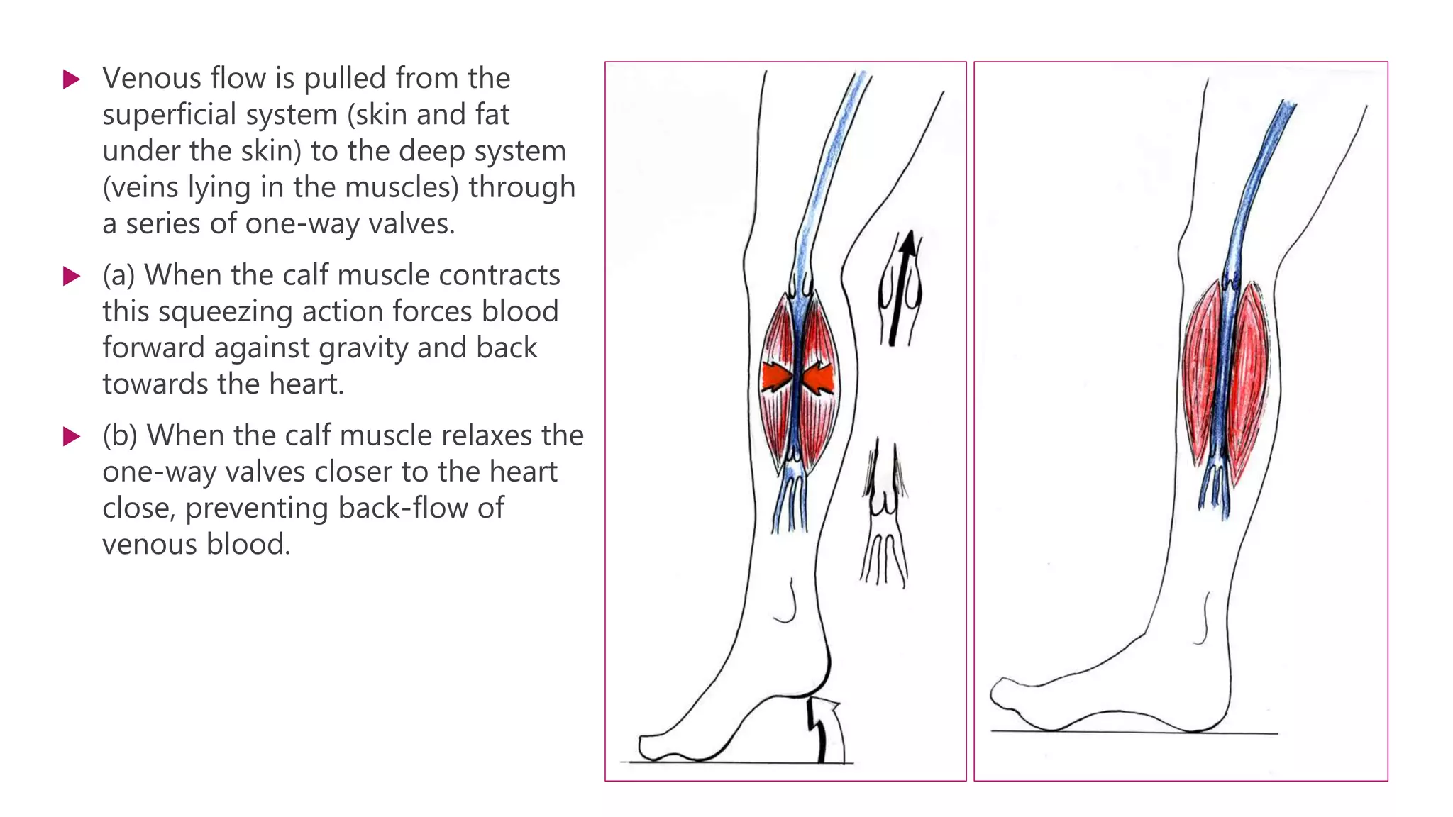 Epidermal Growth Factor use in Venous Leg Ulcers, Pressure Ulcers ...