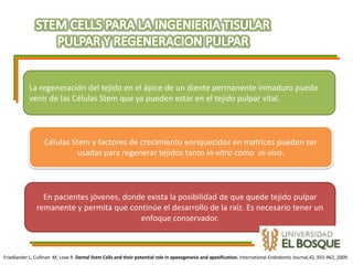 Endodoncia Regenerativa: Regeneración tisular en endodoncia | PPTX