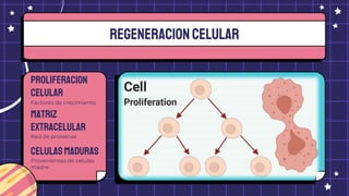 Regeneracion de celulas y tejidos | PPTX