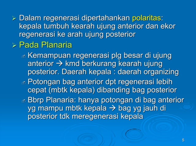 PROSES REGENERASI YANG TERJADI PADA HEWAN.pdf