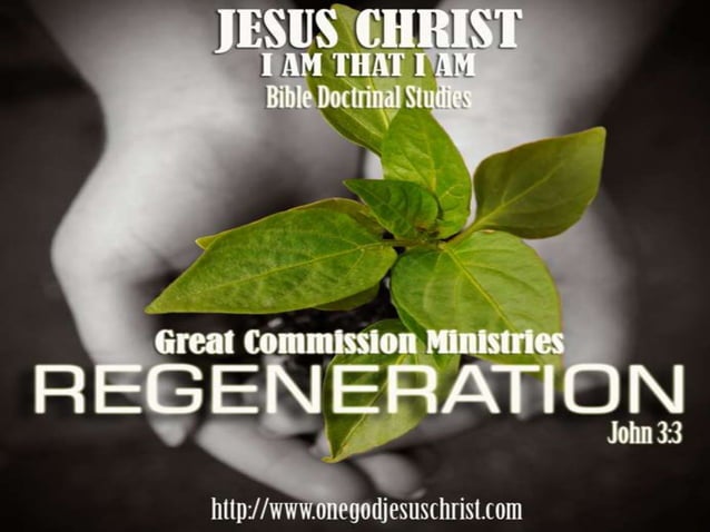 Regeneration | PPTX