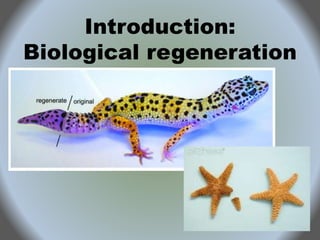 Regeneration: From Life to Death | PPTX