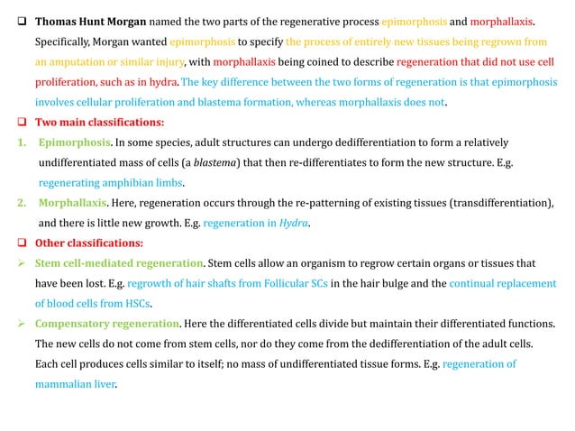 Regeneration | PPTX | Biological Sciences | Science