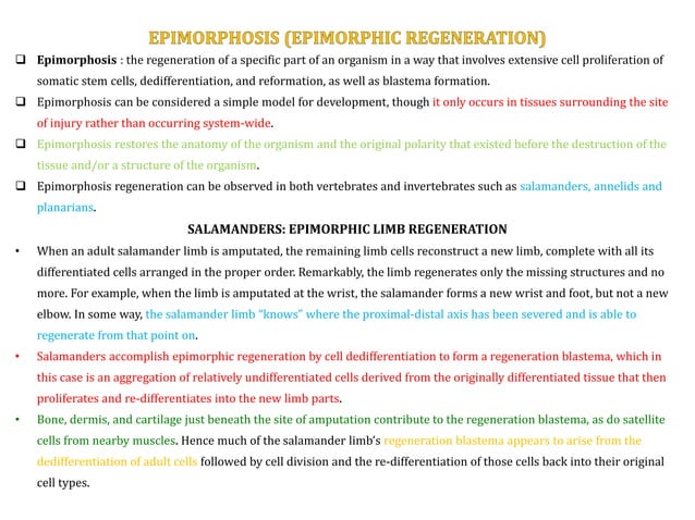 Regeneration | PPTX | Biological Sciences | Science