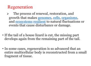 Regeneration | PPT