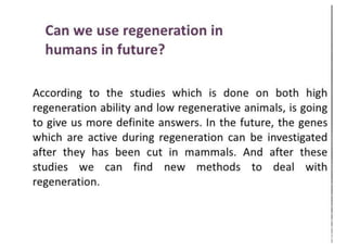 Regeneration | PPTX