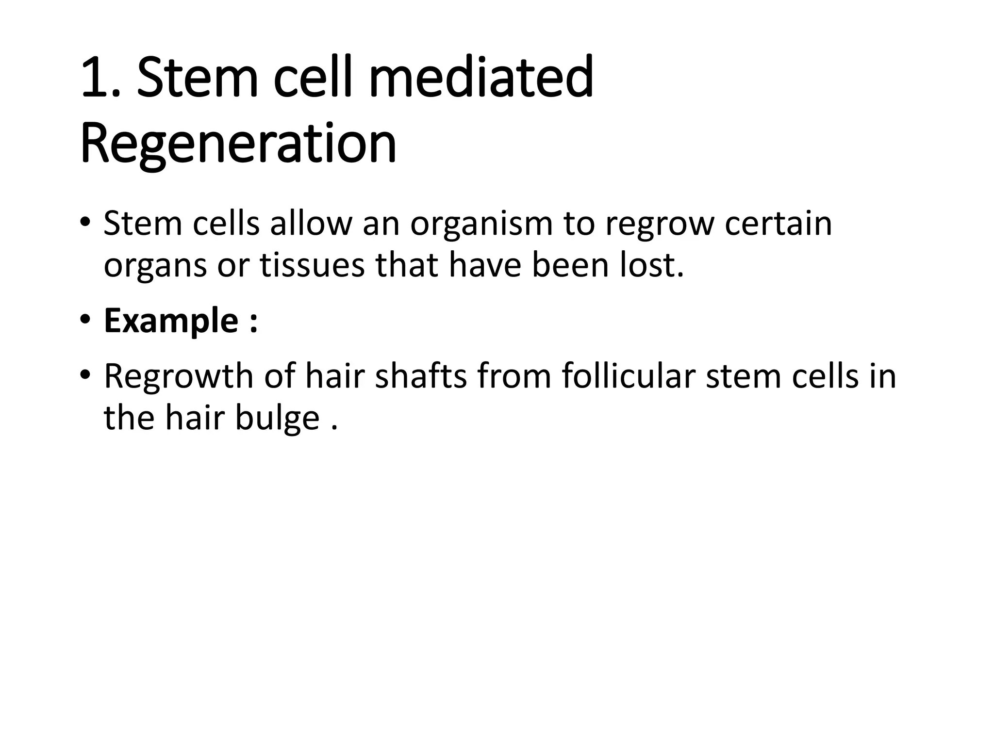 Regeneration types.how regeneration occurs, regeneration in salamanders ...