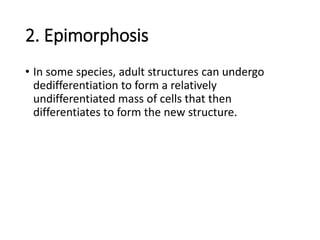 Regeneration types.how regeneration occurs, regeneration in salamanders ...