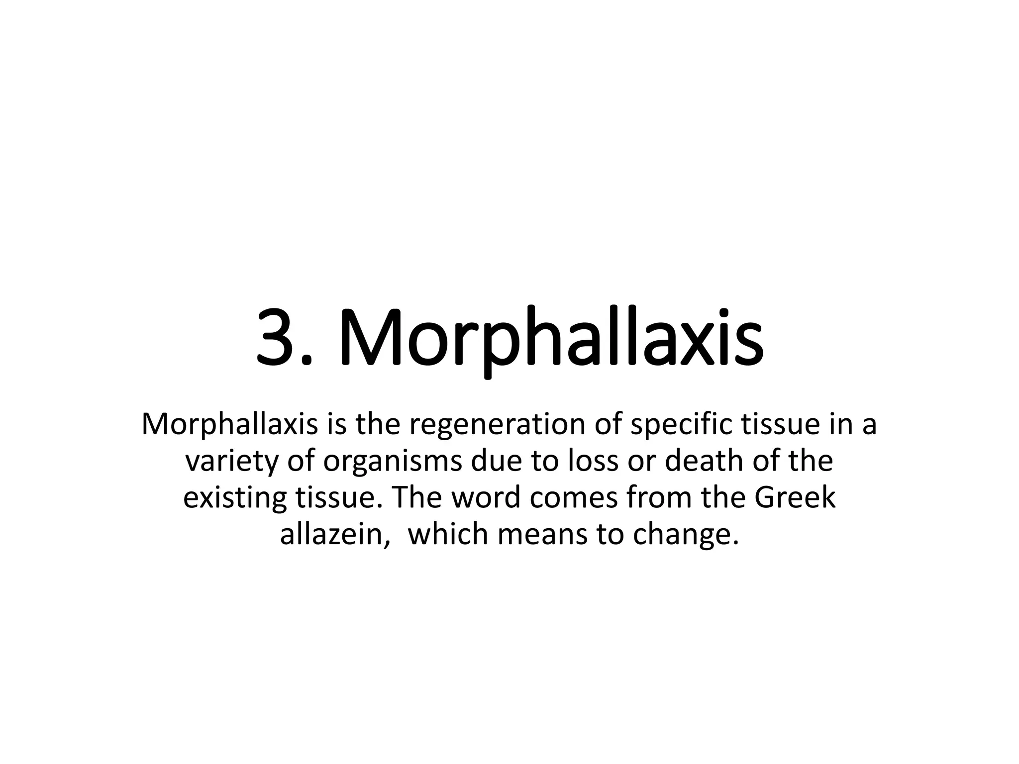 Regeneration In Amphibians regeneration.pptx