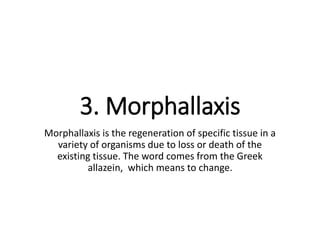 Regeneration In Amphibians regeneration.pptx