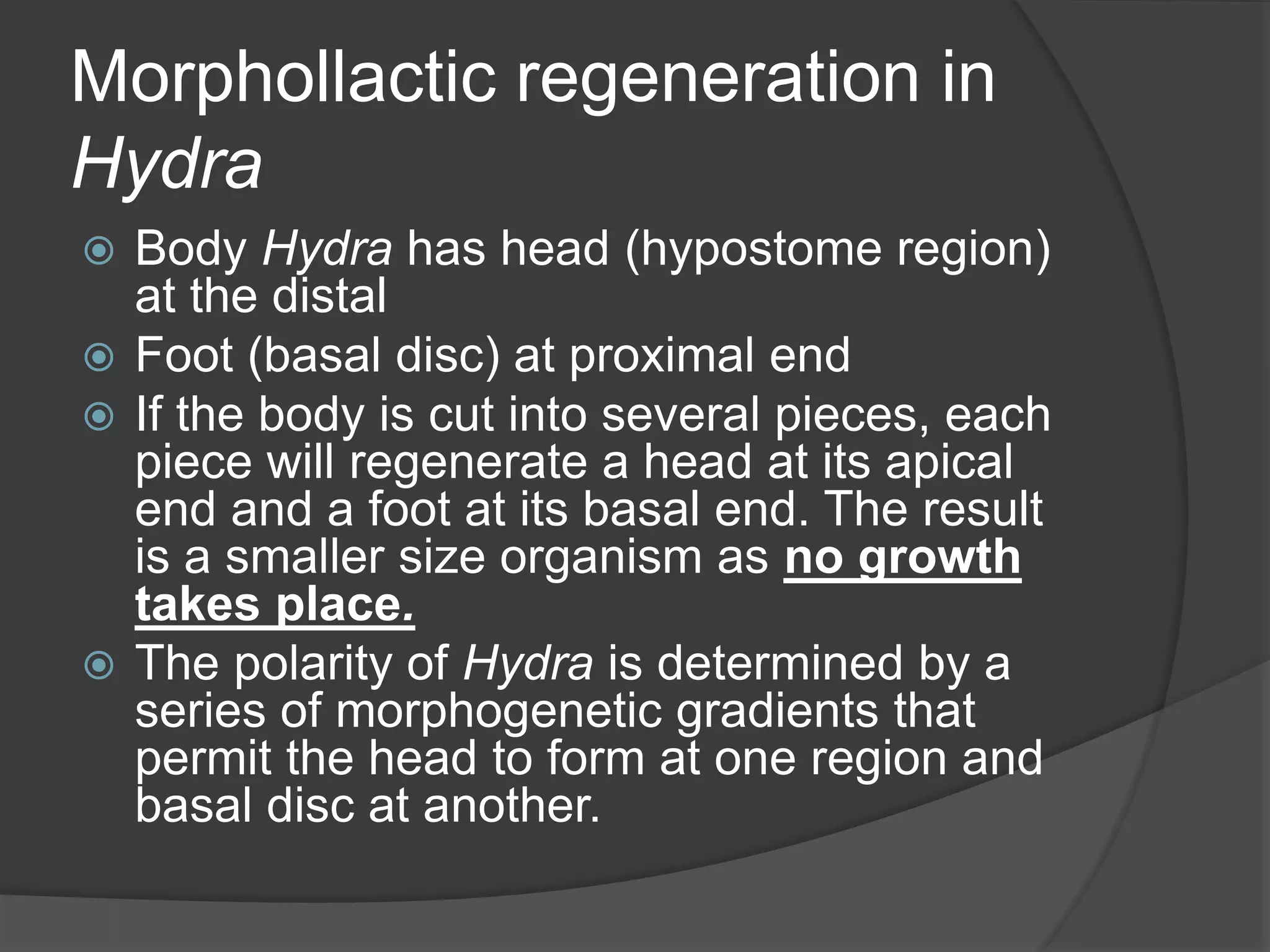 Regeneration in animals | PPSX