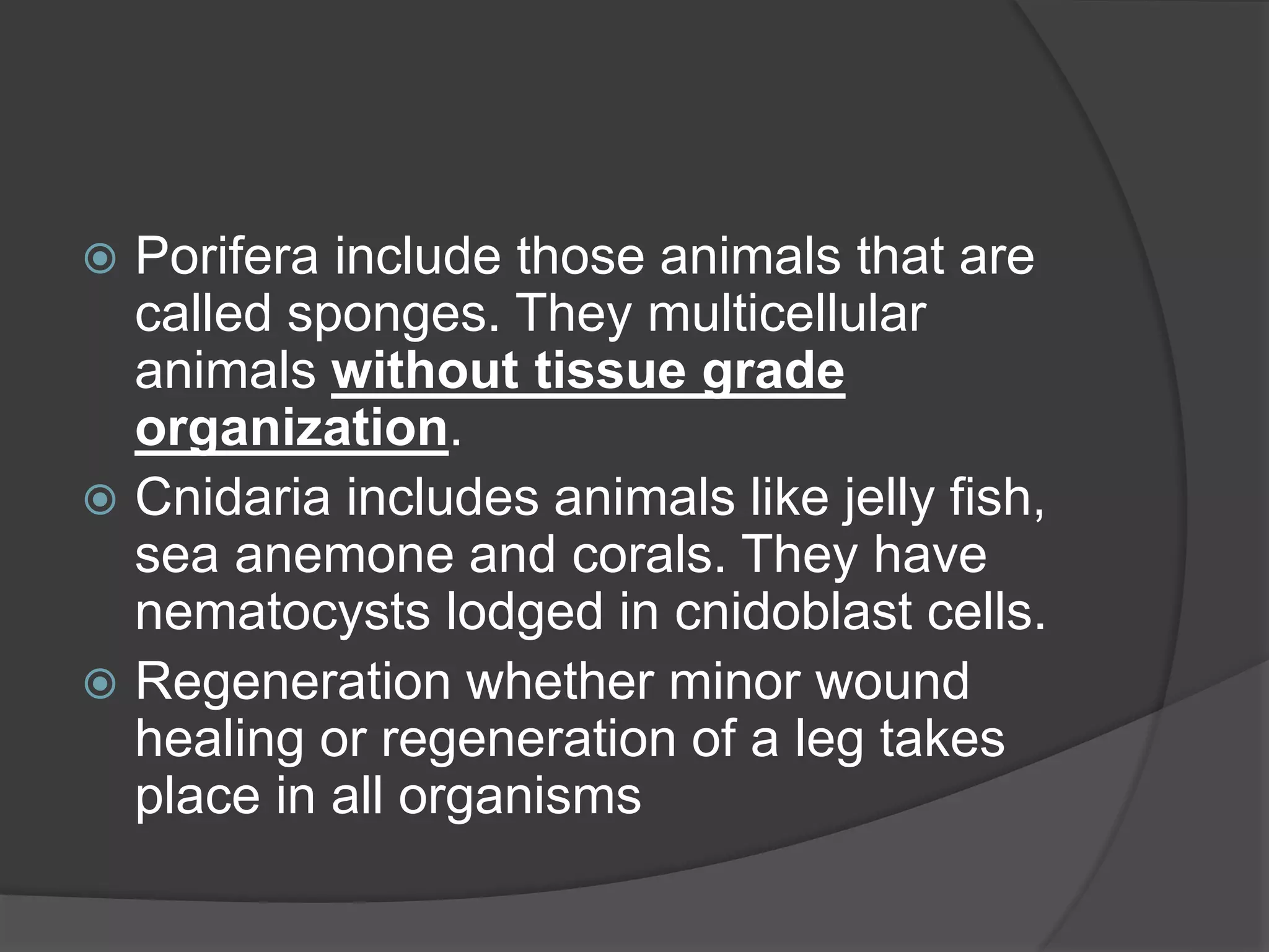 Regeneration in animals | PPSX