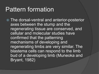 Regeneration in animals | PPSX