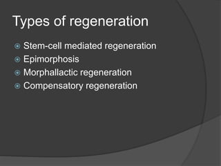 Regeneration in animals | PPSX