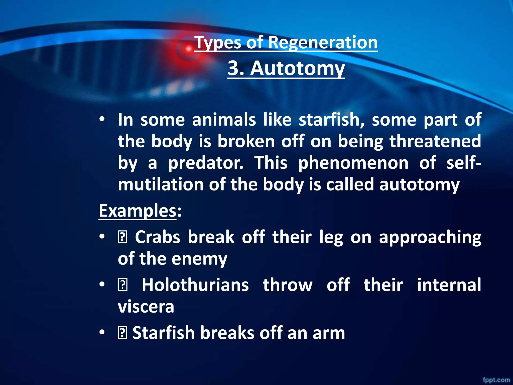 Regeneration in vertebrates | PPTX