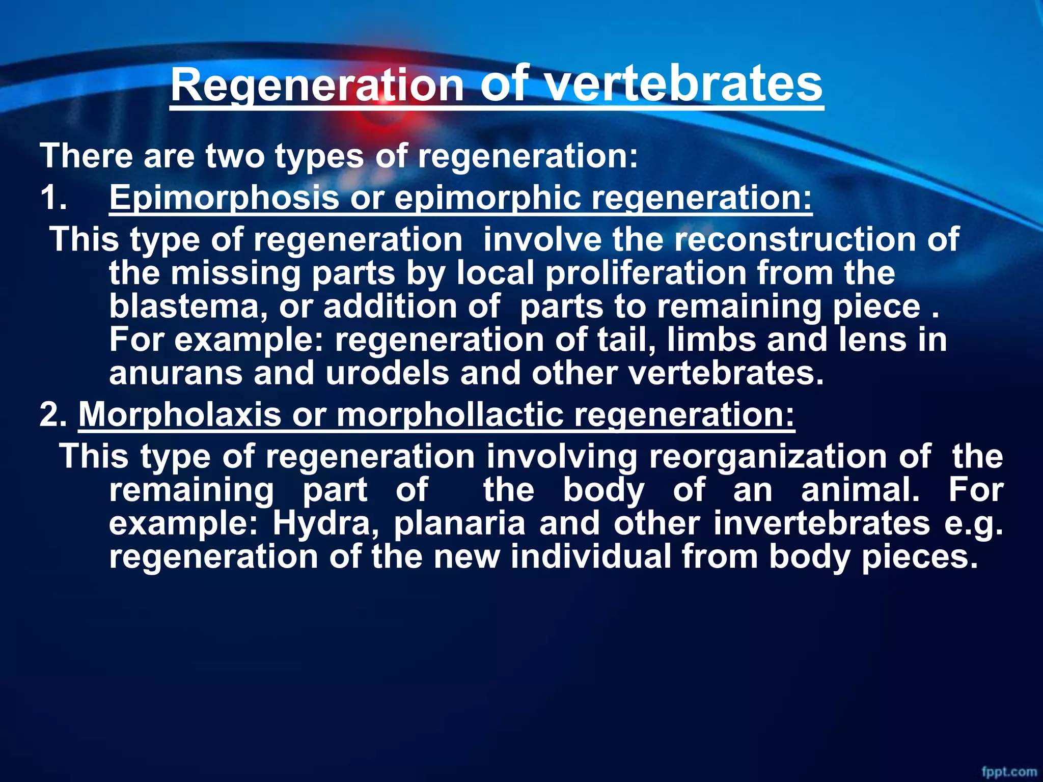 Regeneration in vertebrates | PPTX