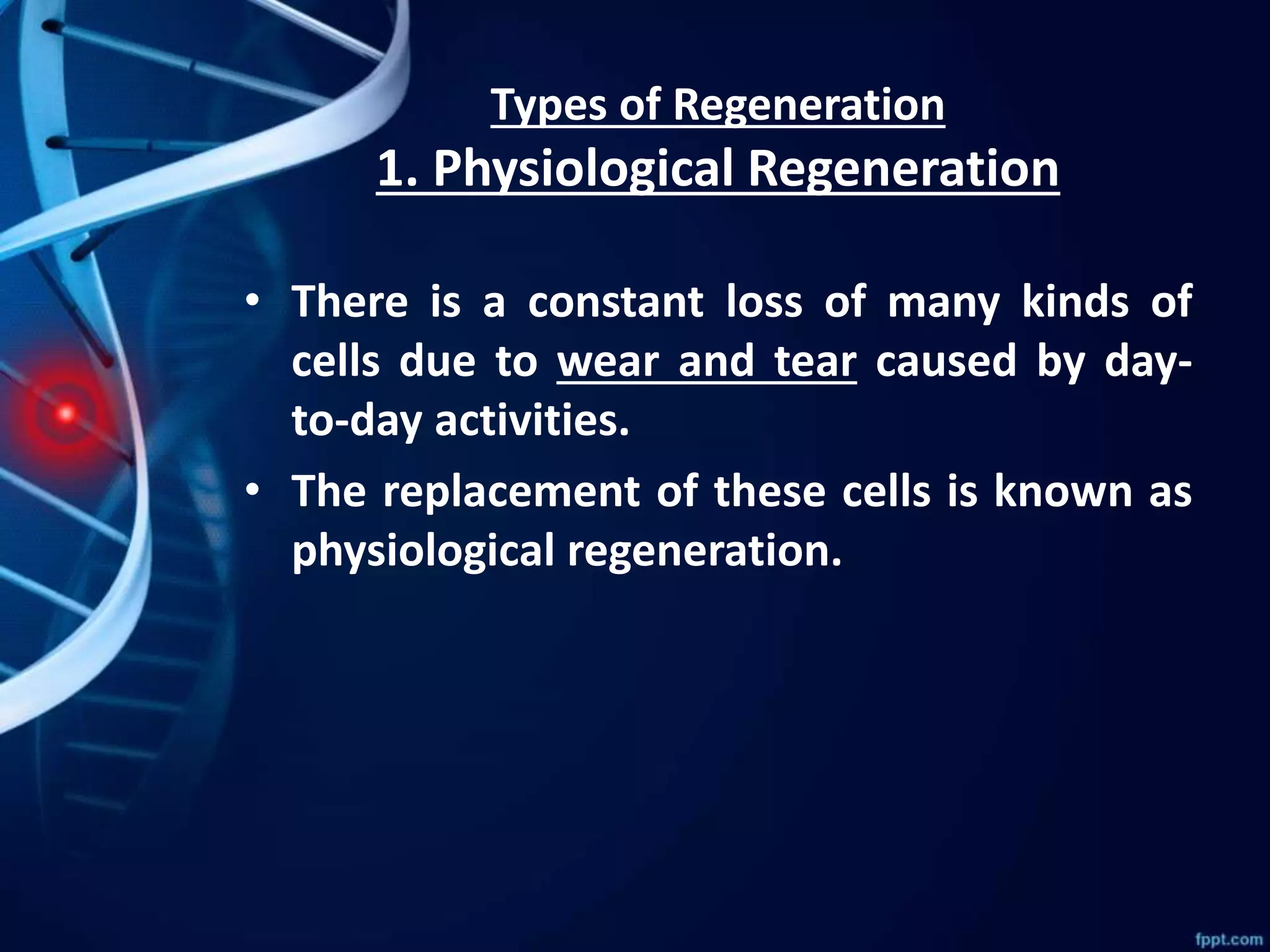 Regeneration in vertebrates | PPTX