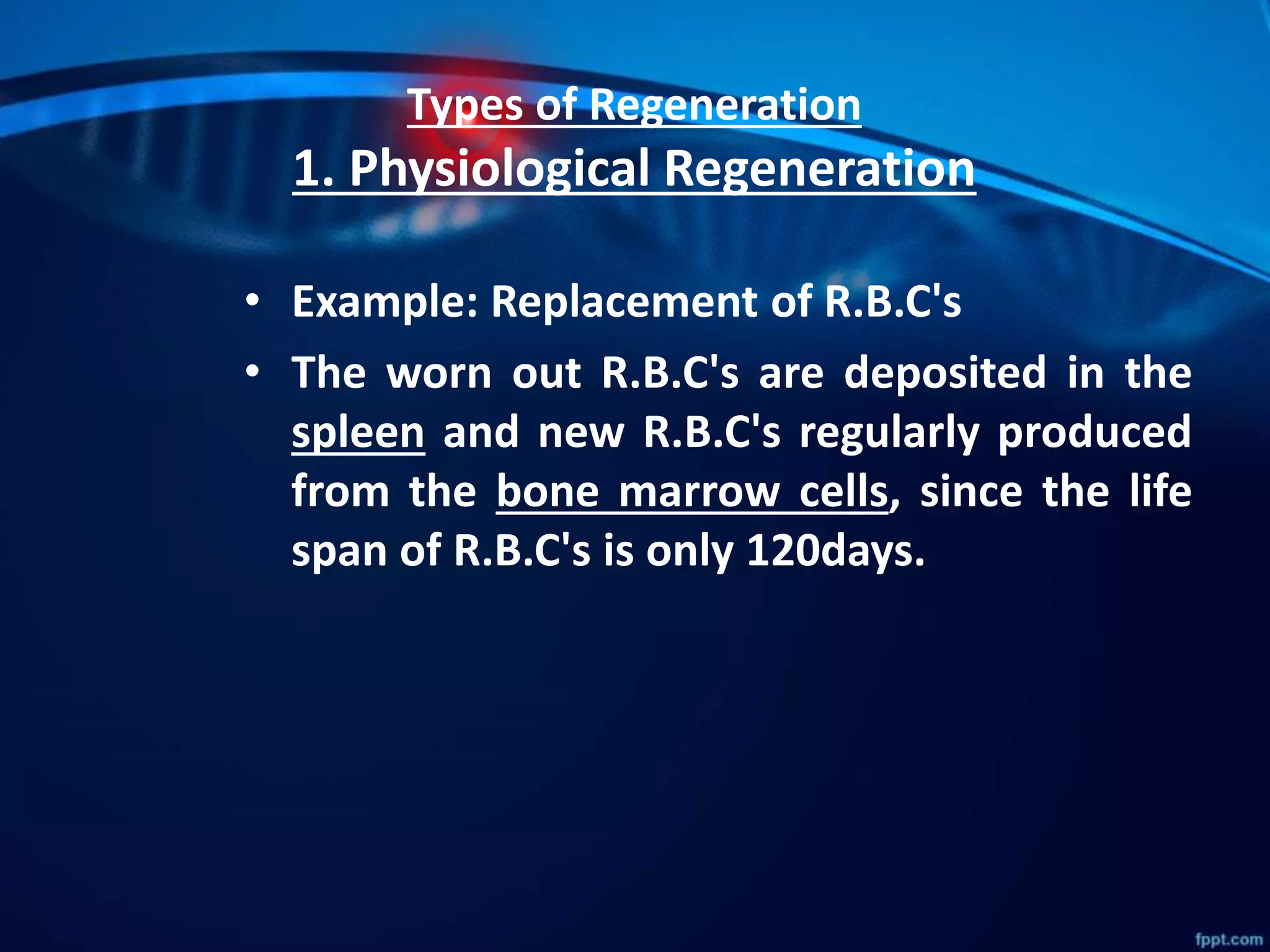 Regeneration in vertebrates | PPTX