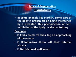 Regeneration in vertebrates | PPTX