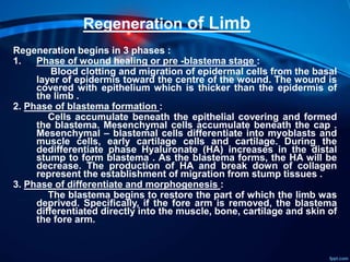 Regeneration in vertebrates | PPTX