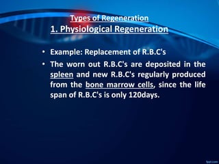 Regeneration in vertebrates | PPTX