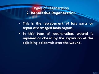 Regeneration in vertebrates | PPTX