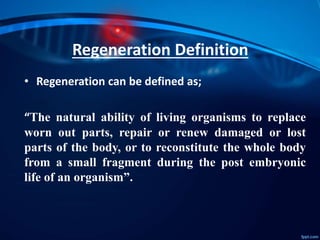 Regeneration in vertebrates | PPT
