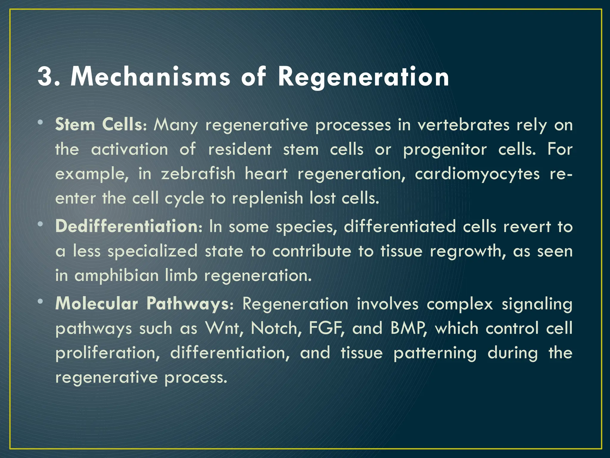 Regeneration in vertebrates - Dr.M.Jothimuniyandi | PPTX