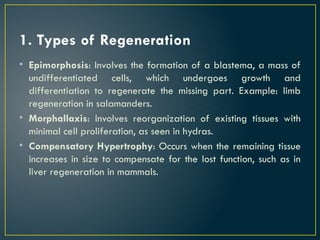 Regeneration in vertebrates - Dr.M.Jothimuniyandi | PPT