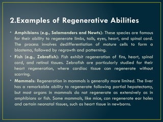 Regeneration in vertebrates - Dr.M.Jothimuniyandi | PPT