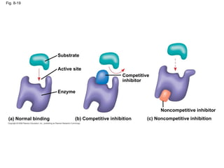 REGENERATION OF ADENOSINE TRIPHOSPHATE.. | PPTX
