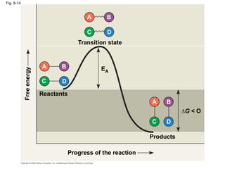 REGENERATION OF ADENOSINE TRIPHOSPHATE.. | PPT