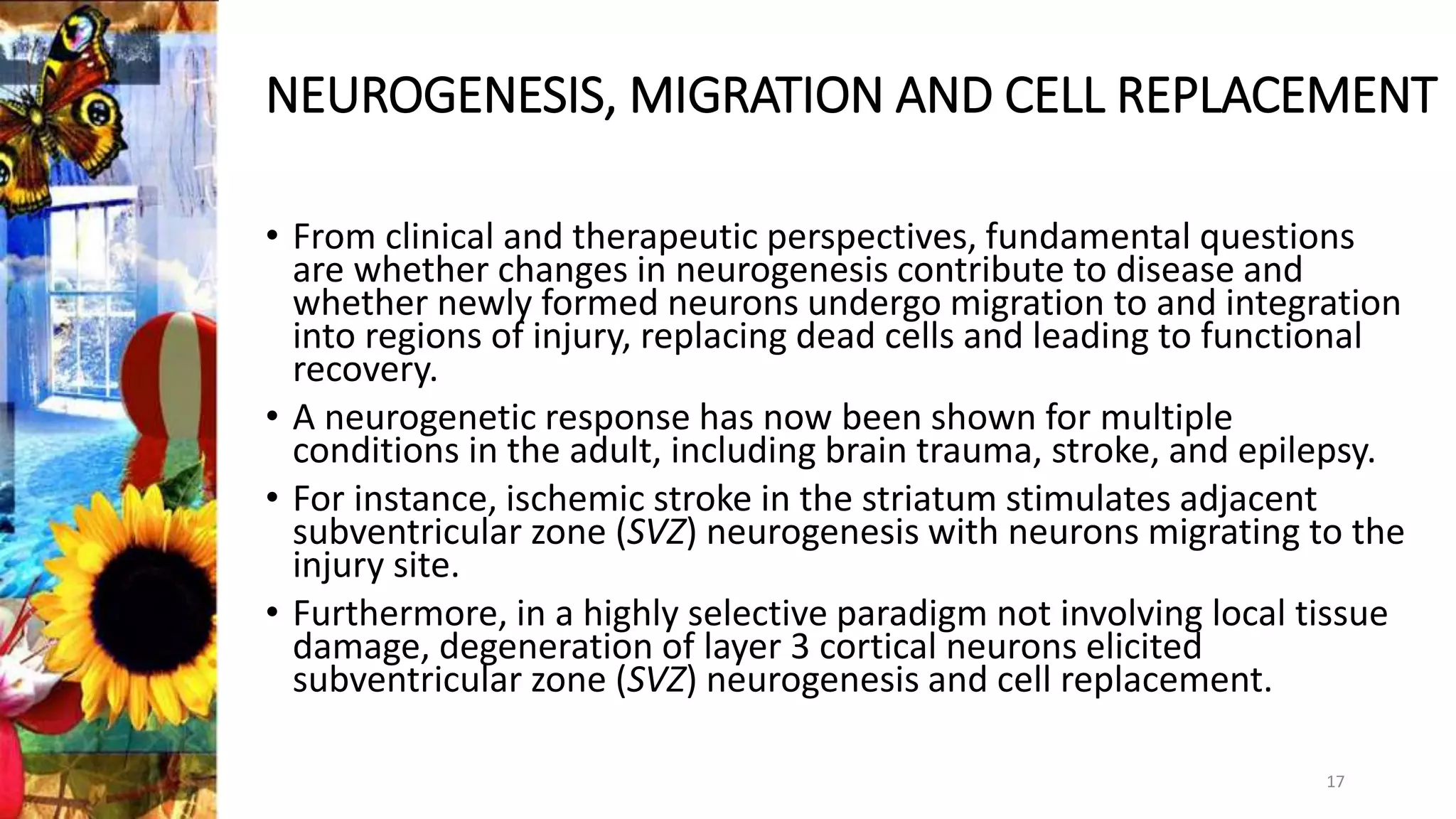 Regeneration of mind and brain | PPT