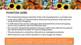 Regeneration of mind and brain | PPT