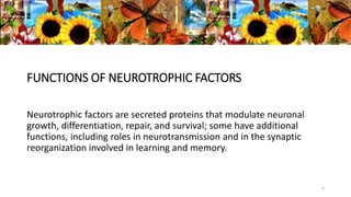 Regeneration of mind and brain | PPT