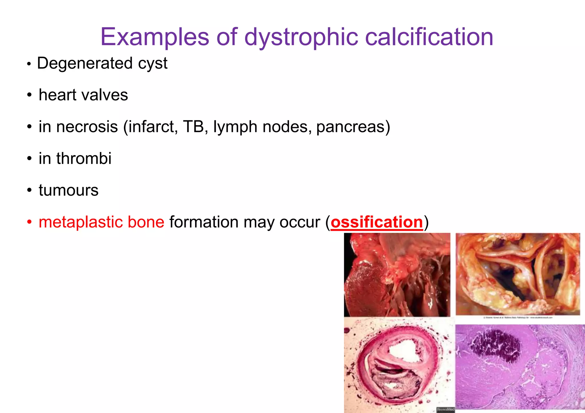Regeneration Repair-Eng.pptx