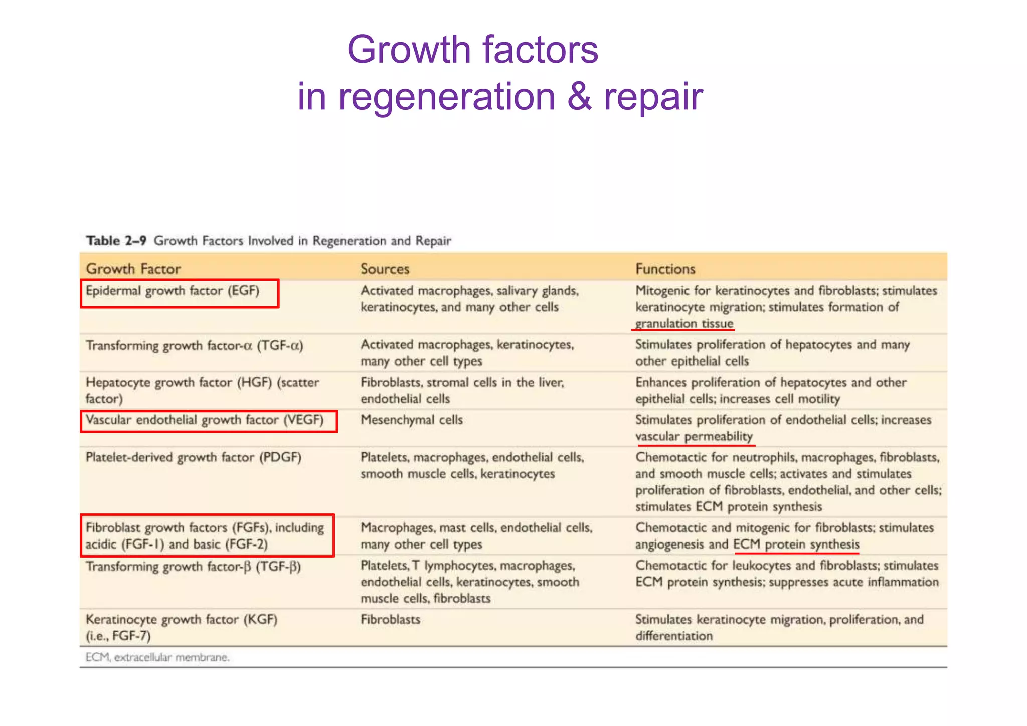Regeneration Repair-Eng.pptx