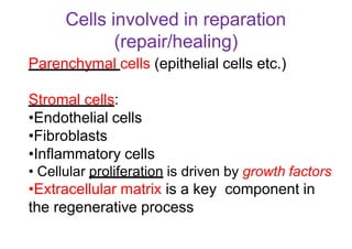Regeneration Repair-Eng.pptx